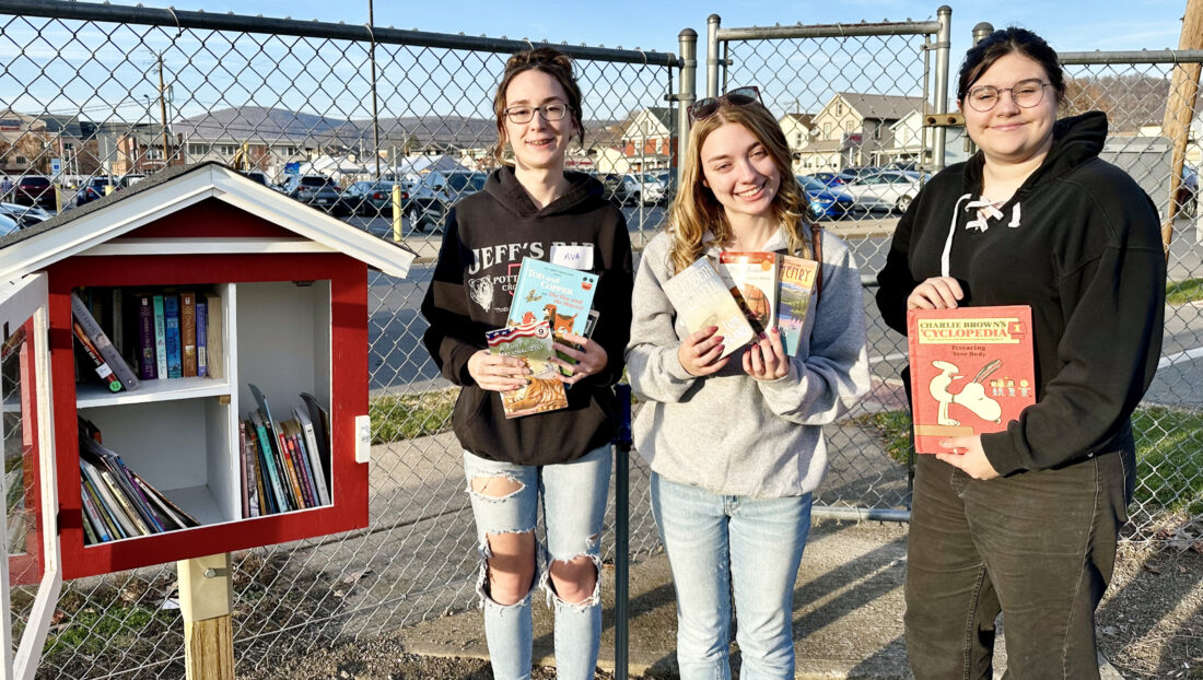 LH area has two new Little Libraries | News, Sports, Jobs - The Express